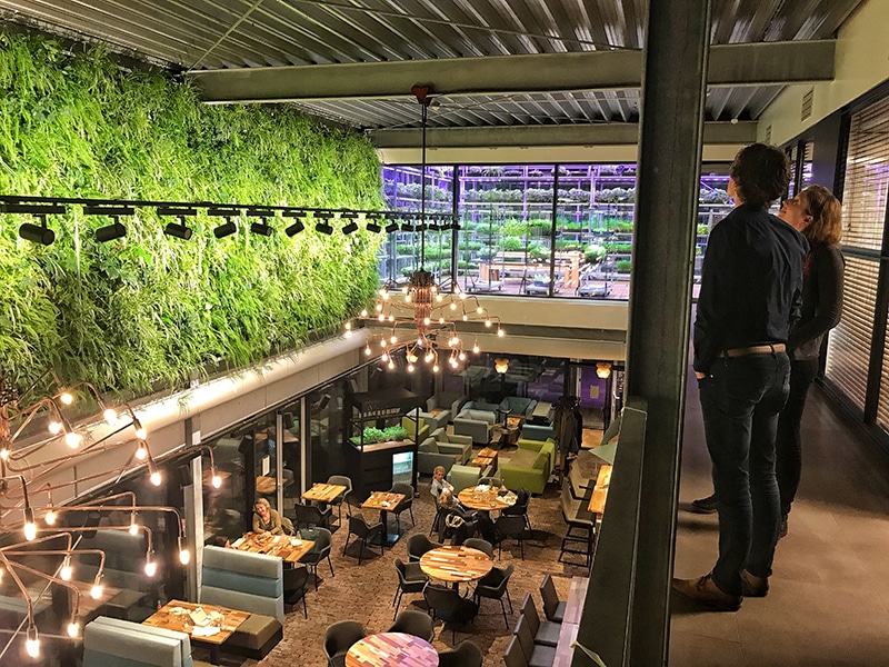 The Green House - DGMR