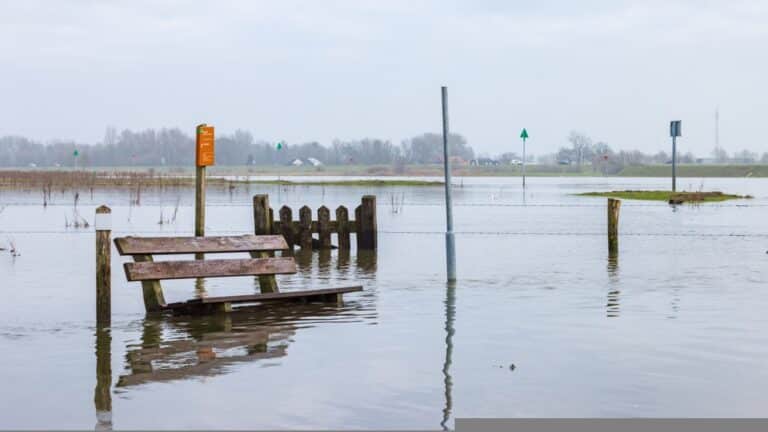 Klimaatadaptief bouwen | Klimaatadaptatie bouw en gebied |DGMR